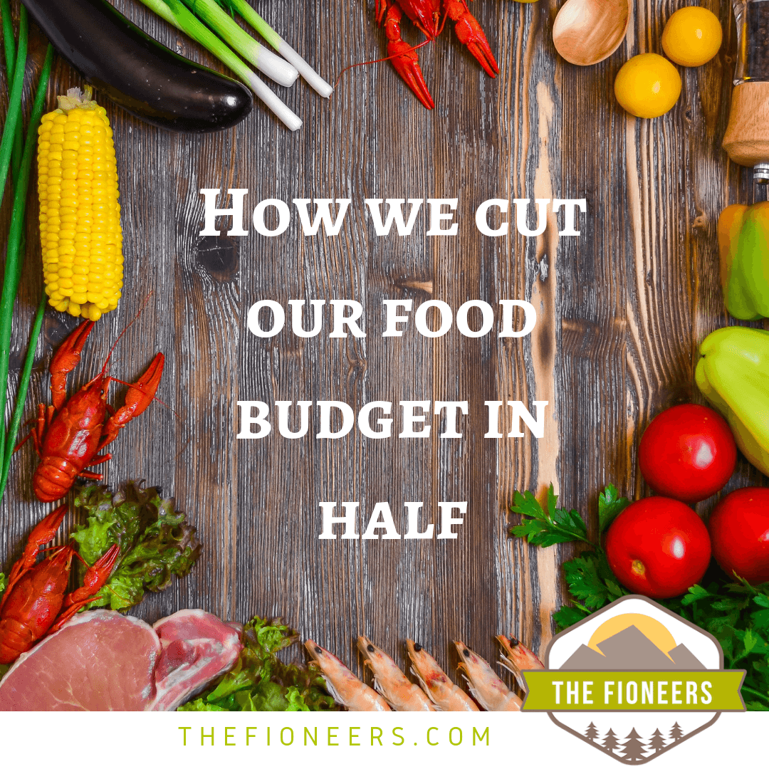 How to Save Money on Food - The Fioneers