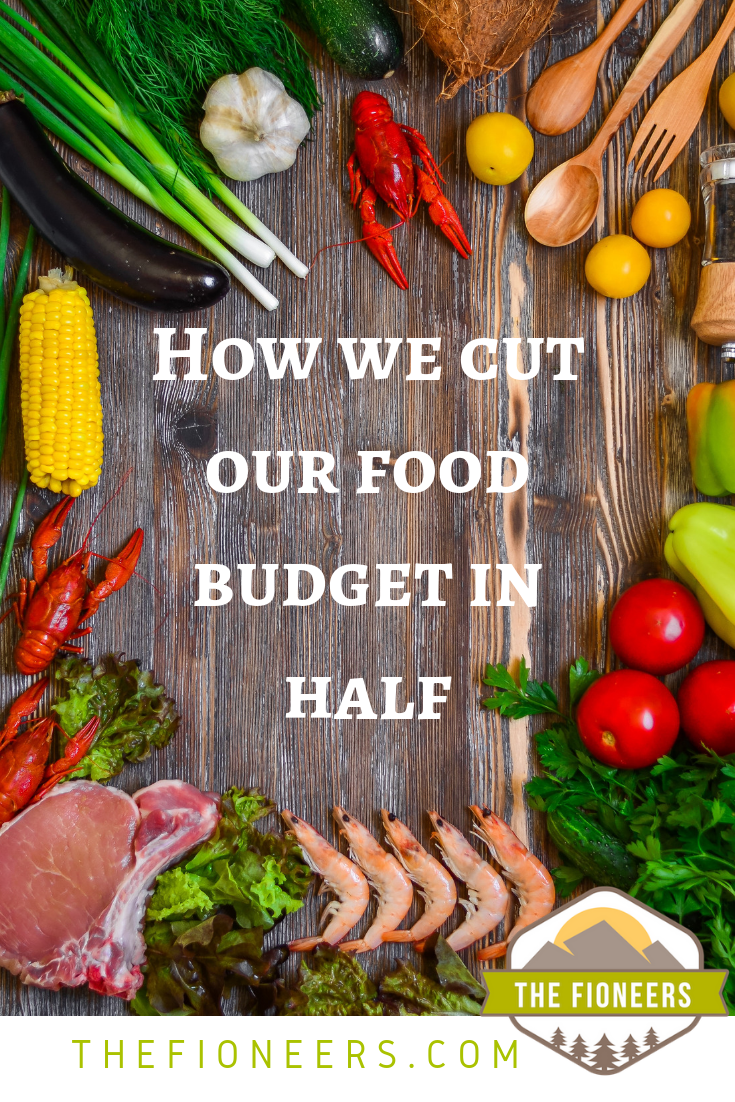 How to Save Money on Food - The Fioneers