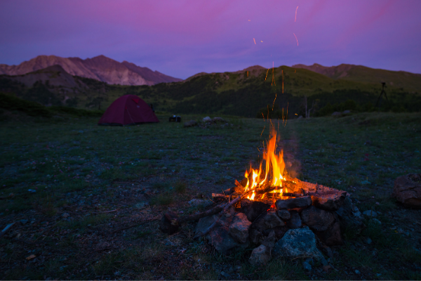 The Ultimate Guide to the FIRE Movement - The Fioneers
